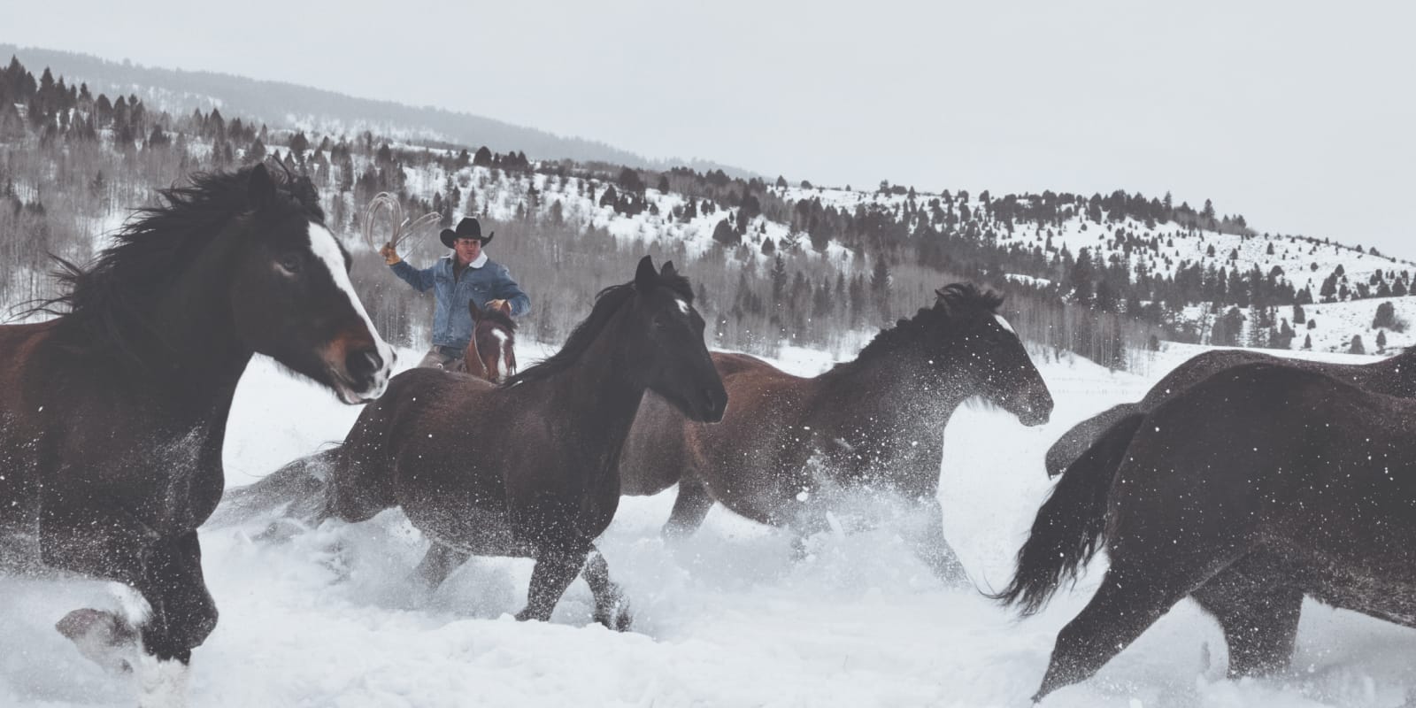 Boot Barn Steps into Centric PLM and Centric Visual Boards to Boost ...